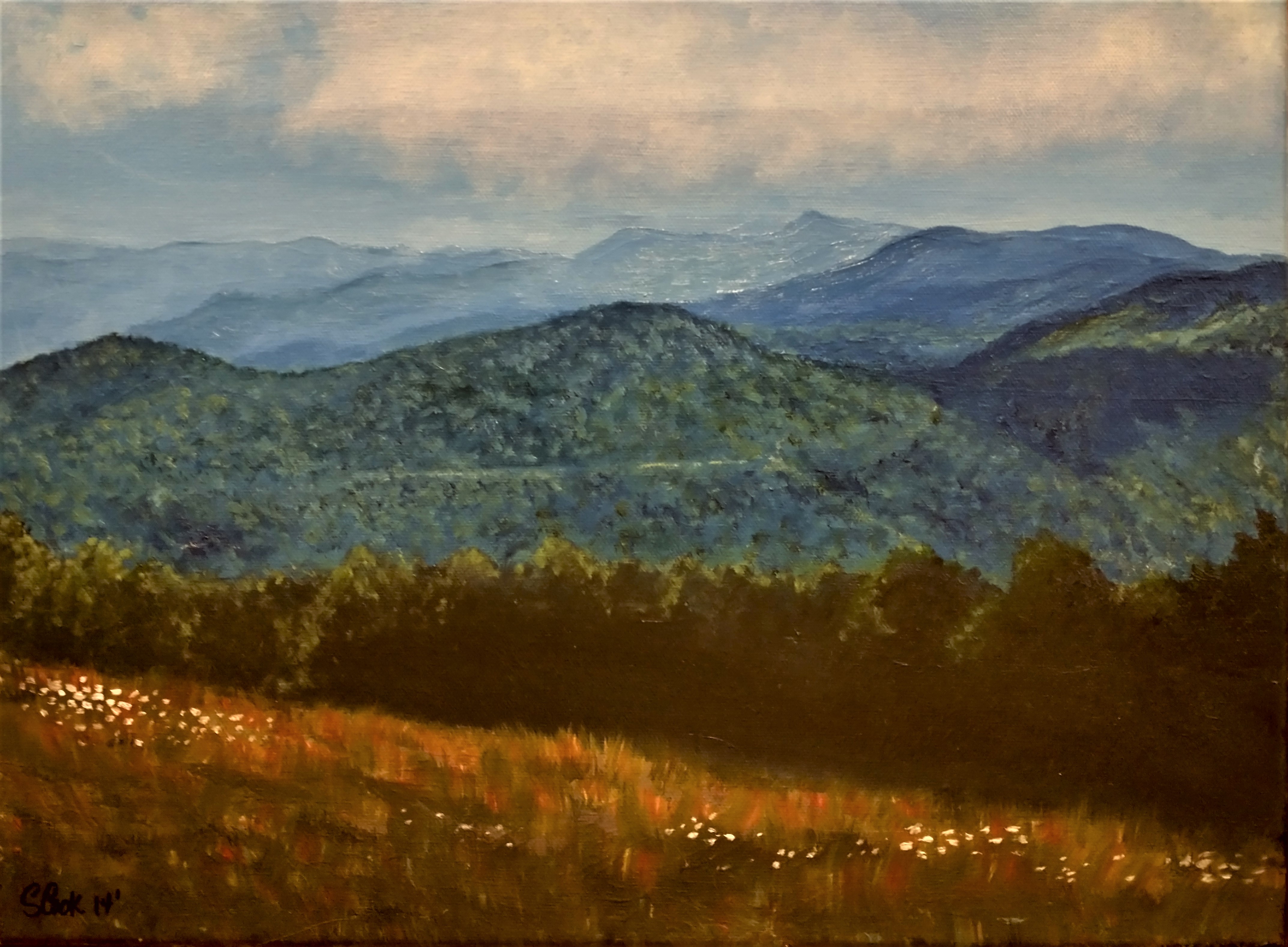 Landscape Paintings for Sale – Shari Cook Art
