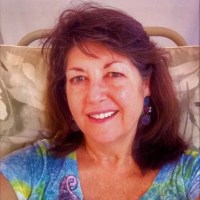 How to Purchase Art – Shari Cook Art